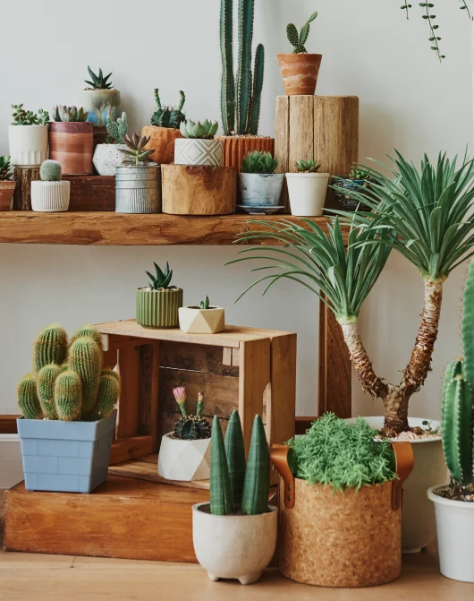 Shopify Development and UI/UX Design Services | aBox Agency